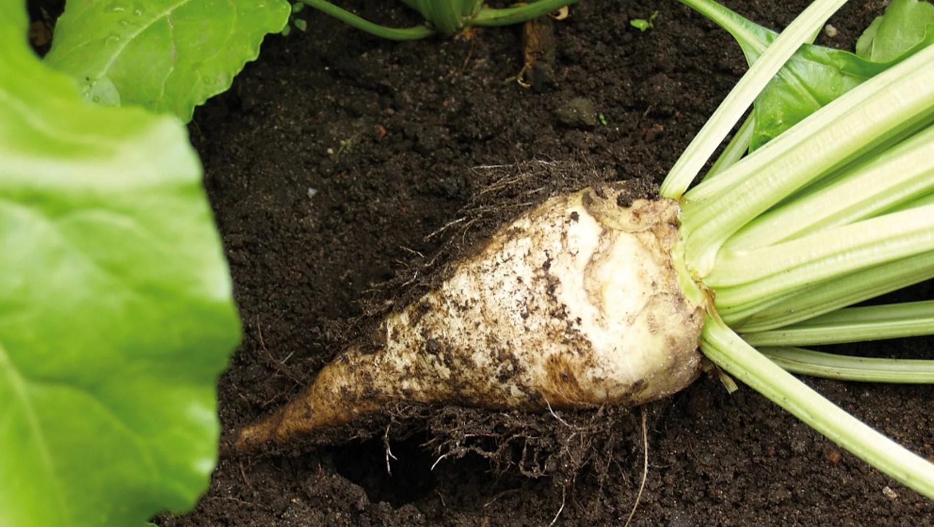 Birių medžiagų presai-vyniotuvai Vario-Master | Agroteka